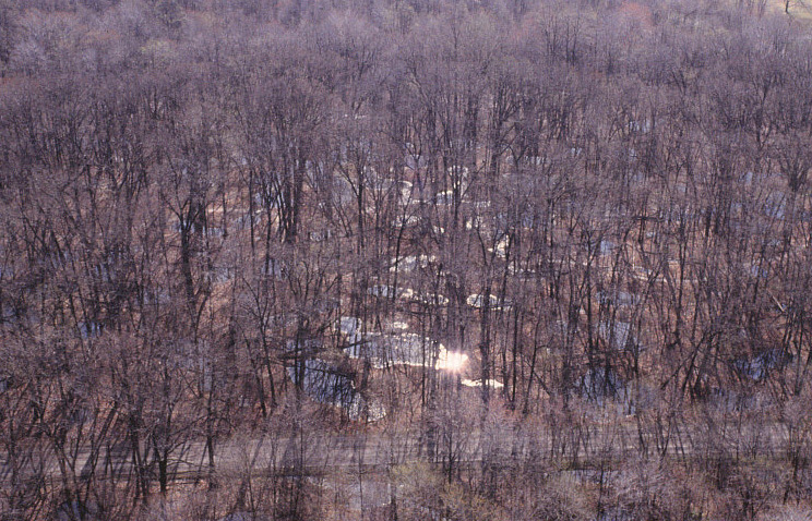 Archaeology of Portable Rock Art: Artist's intent to create a flint ...