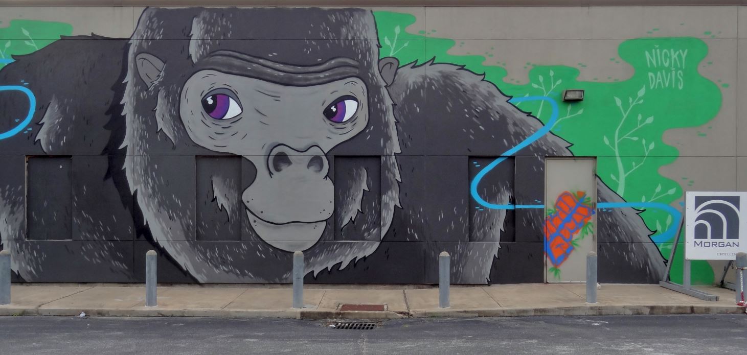 Houston in Pics: Promotional Murals for Houston Zoo Gorilla Exhibit Ope