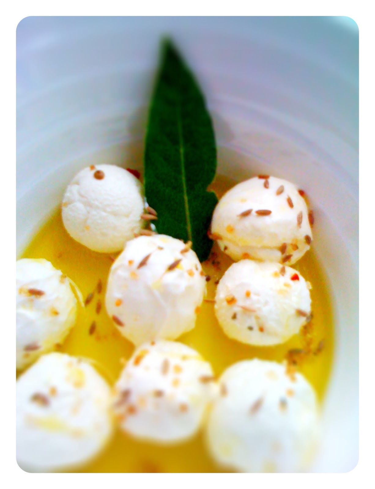 Alessandra Zecchini: How to make Labne Balls