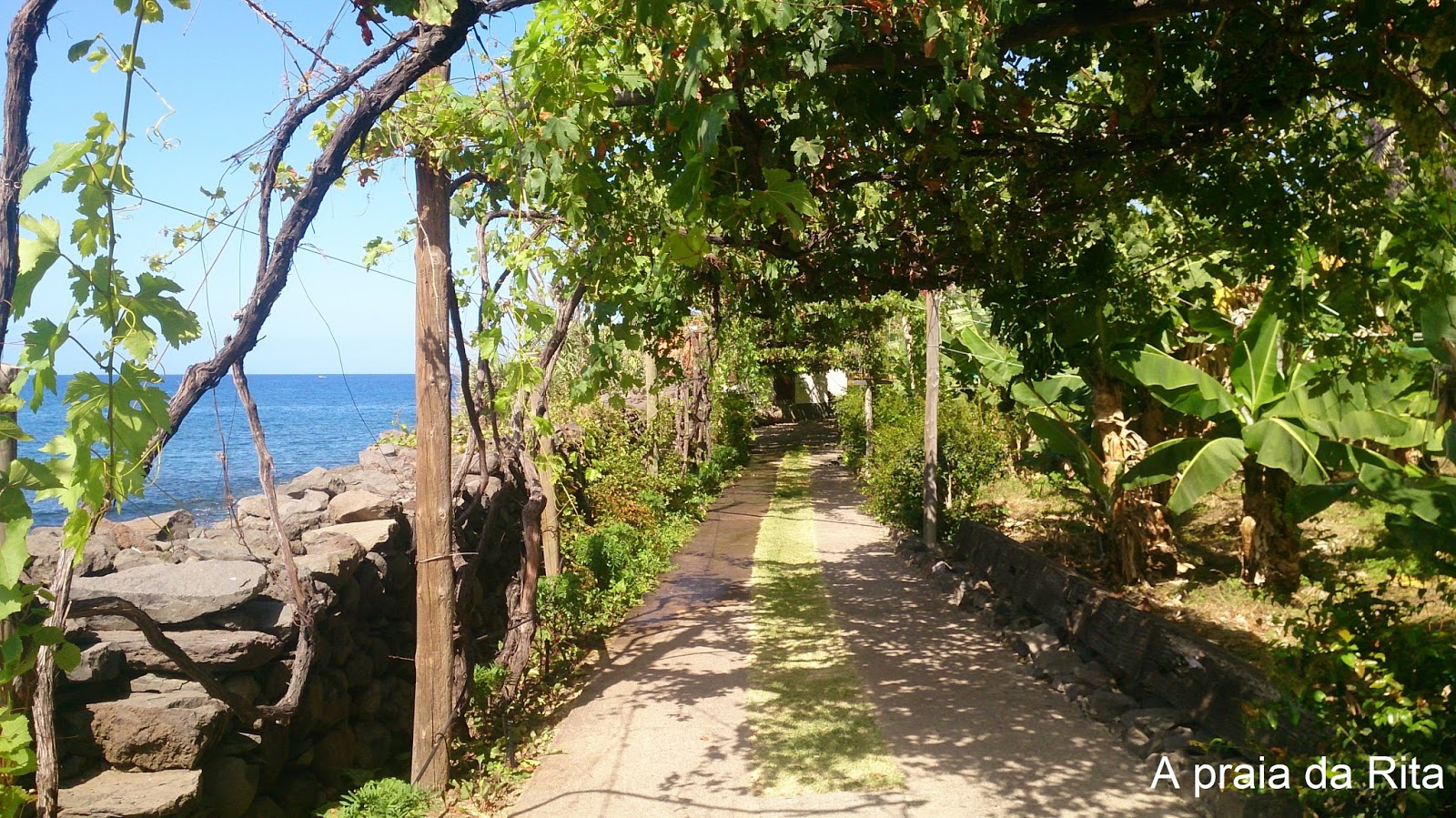 A praia da Rita: ILHA DA MADEIRA 2016 (5º Dia): Fajã dos Padres