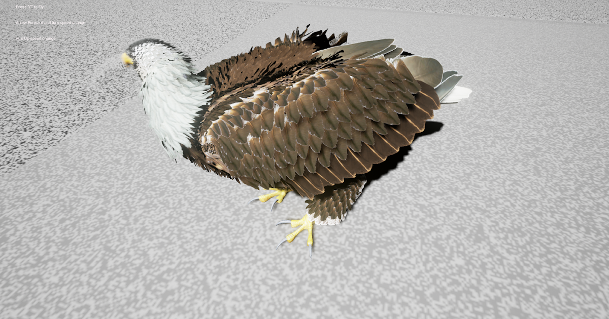 Blenderで遊ぶ(Production diary): Bald eagle for Unreal Engine