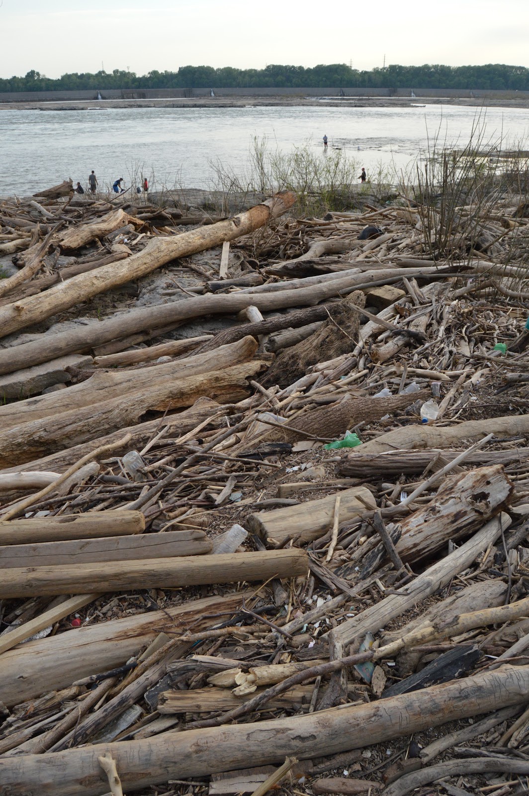 Industrial History: McAlpine (#41) Dam and The "Falls of the Ohio ...