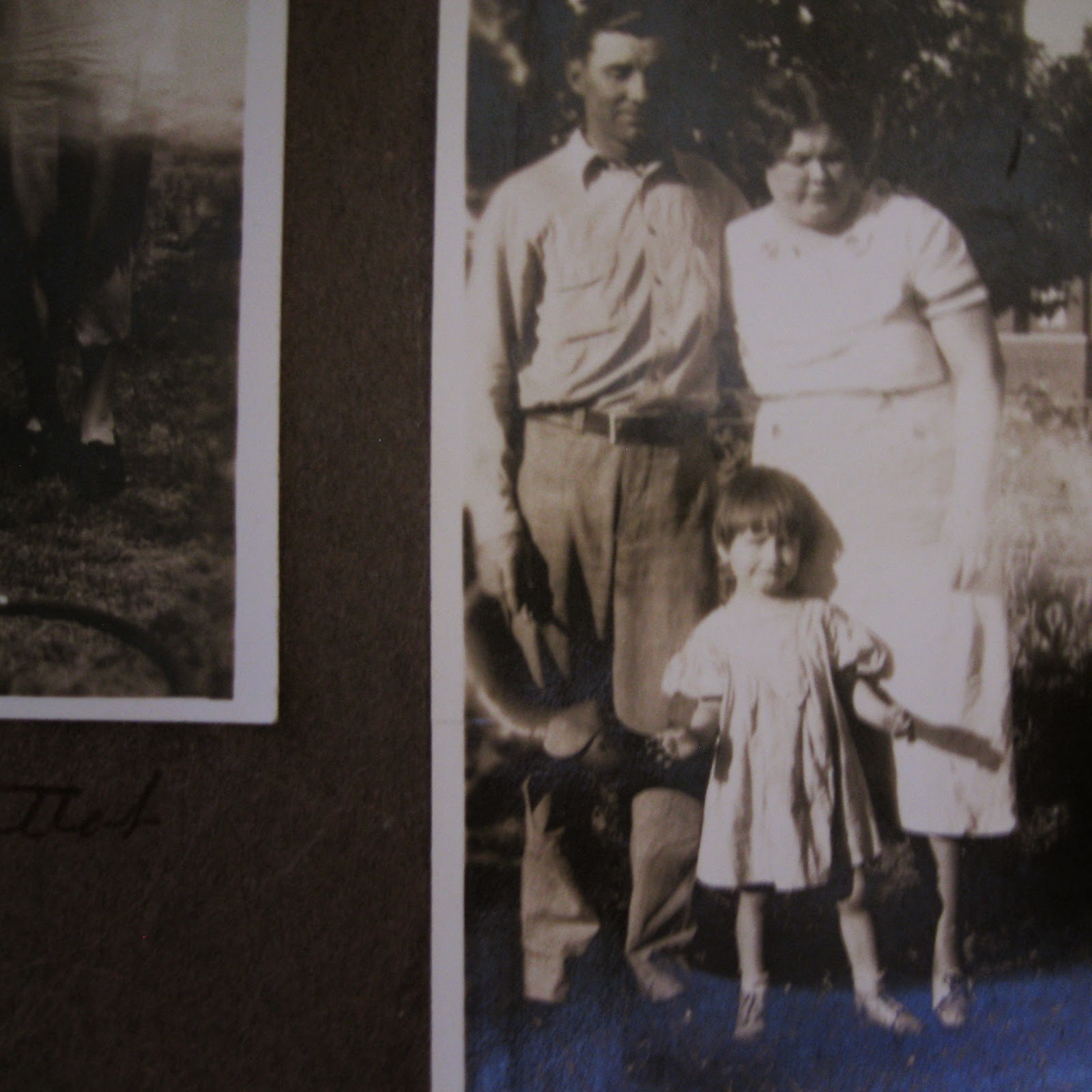 marylourambles: The Farkle Family?