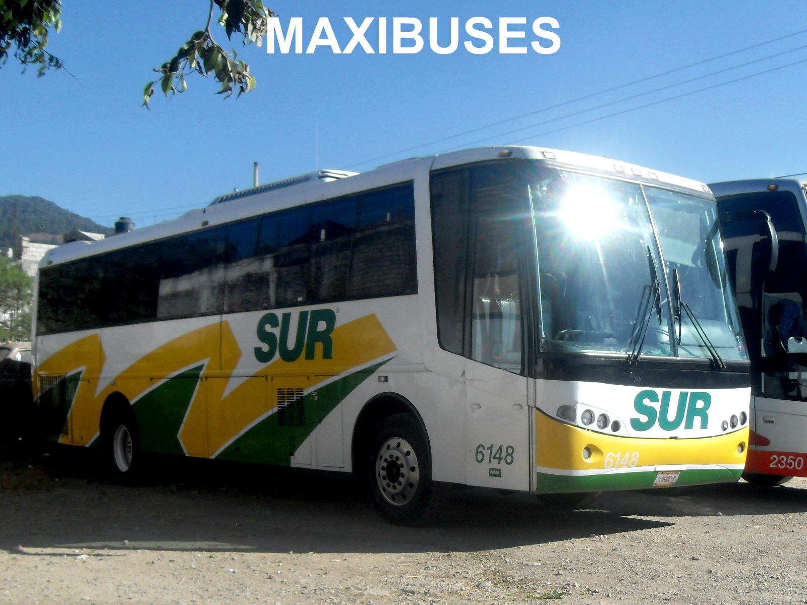 MAXIBUSES: AUTOBUSES DEL SUR