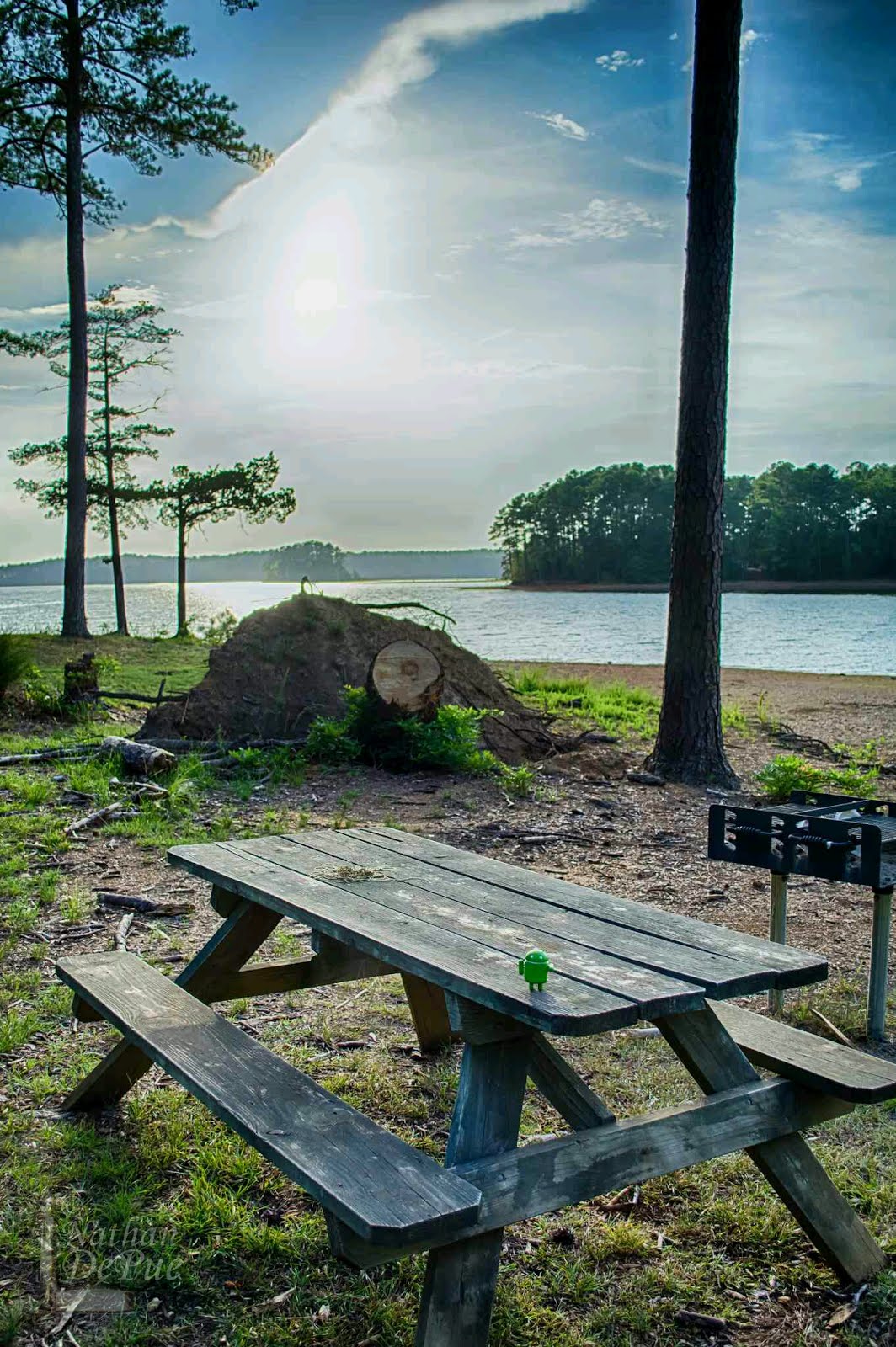 Tech and Nature: Hamilton Branch State Park