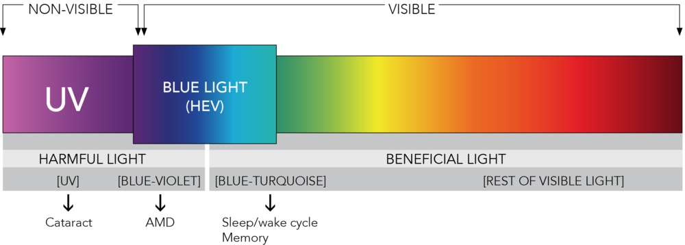 harmful effects of blue light rays