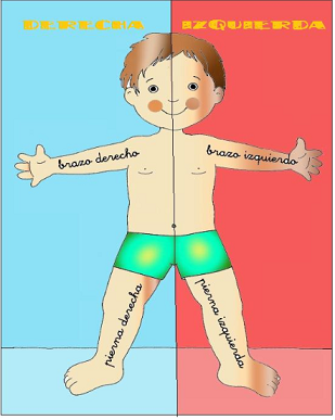PSICOMOTRICIDAD.: Lateralidad