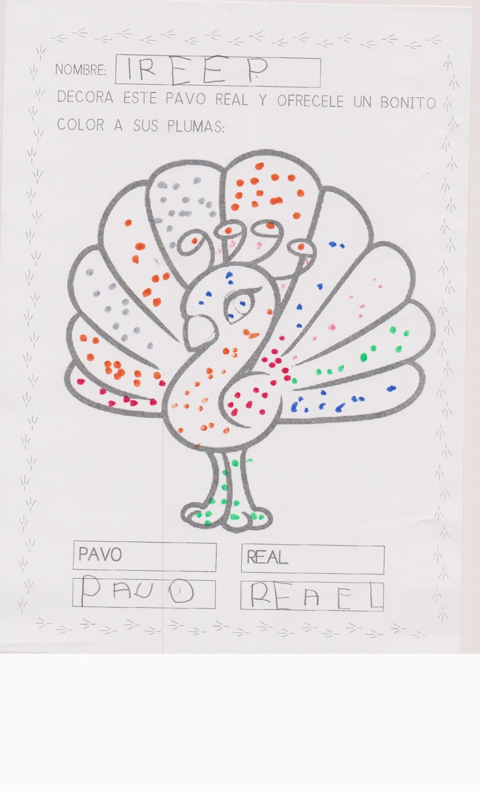 Los infantes del Blas: TERMINAMOS NUESTROS PAVOS REALES Y HACEMOS ...