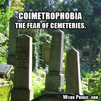 Collections: November 2013