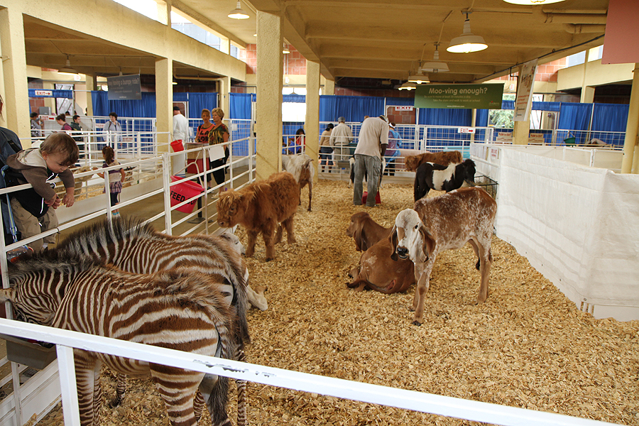 Vending Adventures: Zoo Food Machine