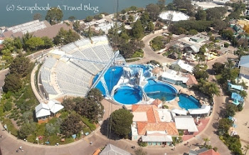 Amusement Parks- The Shamu show at SeaWorld, San Diego | Scrapbook -A ...