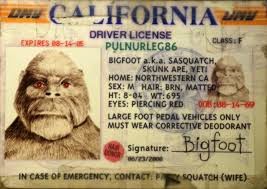 California to issue driver's licenses to the undocumented in 2015 | Law ...