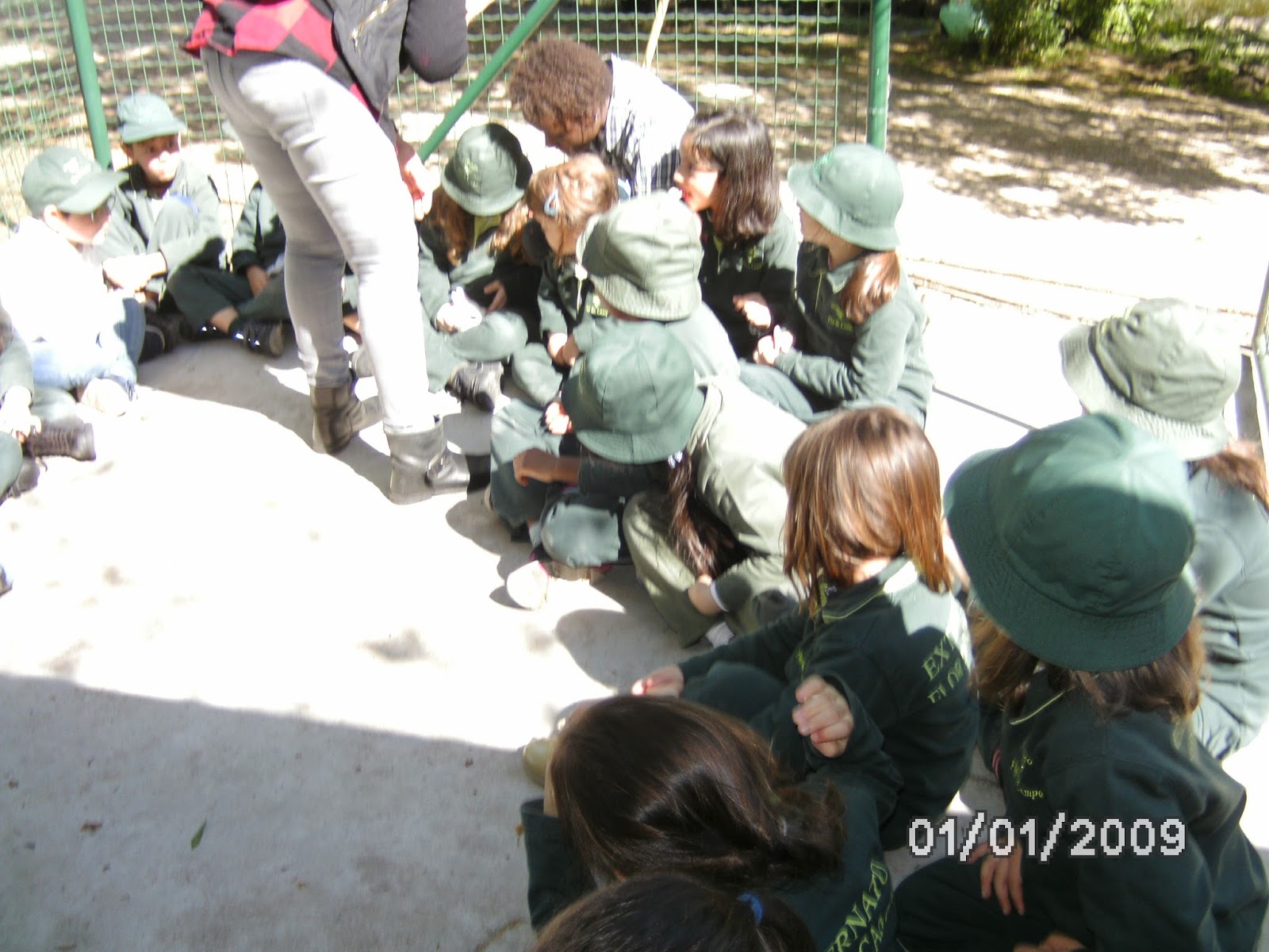 QUOD ERAT - Externato Flor do Campo: 1.º Ano