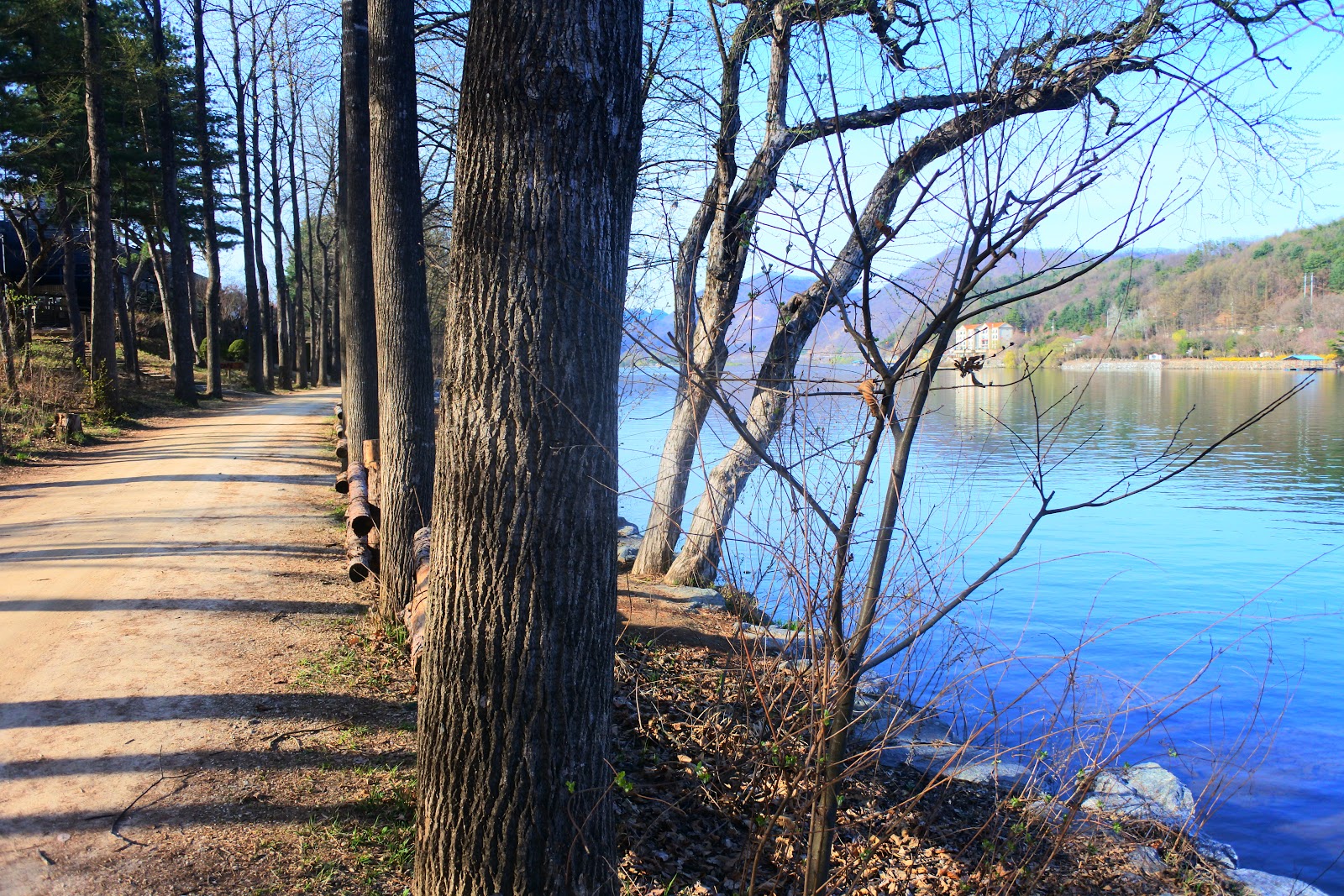 Jalan - jalan Korea 2017: Musim bunga di Garden of Morning Calm dan ...