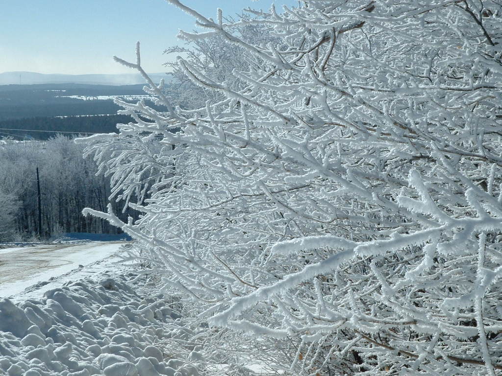 The Ice Queen Chronicles: "Ice Queen" Lyrics by Within Temptation