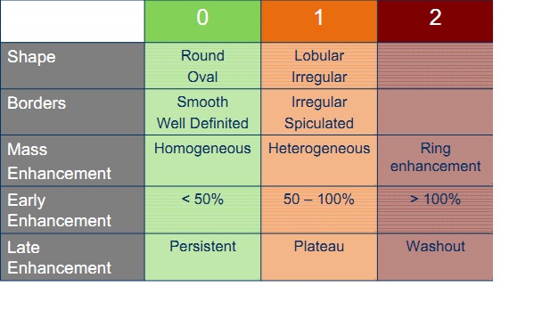 Radiology Blog: Breast mass characterisation on MR Mammography