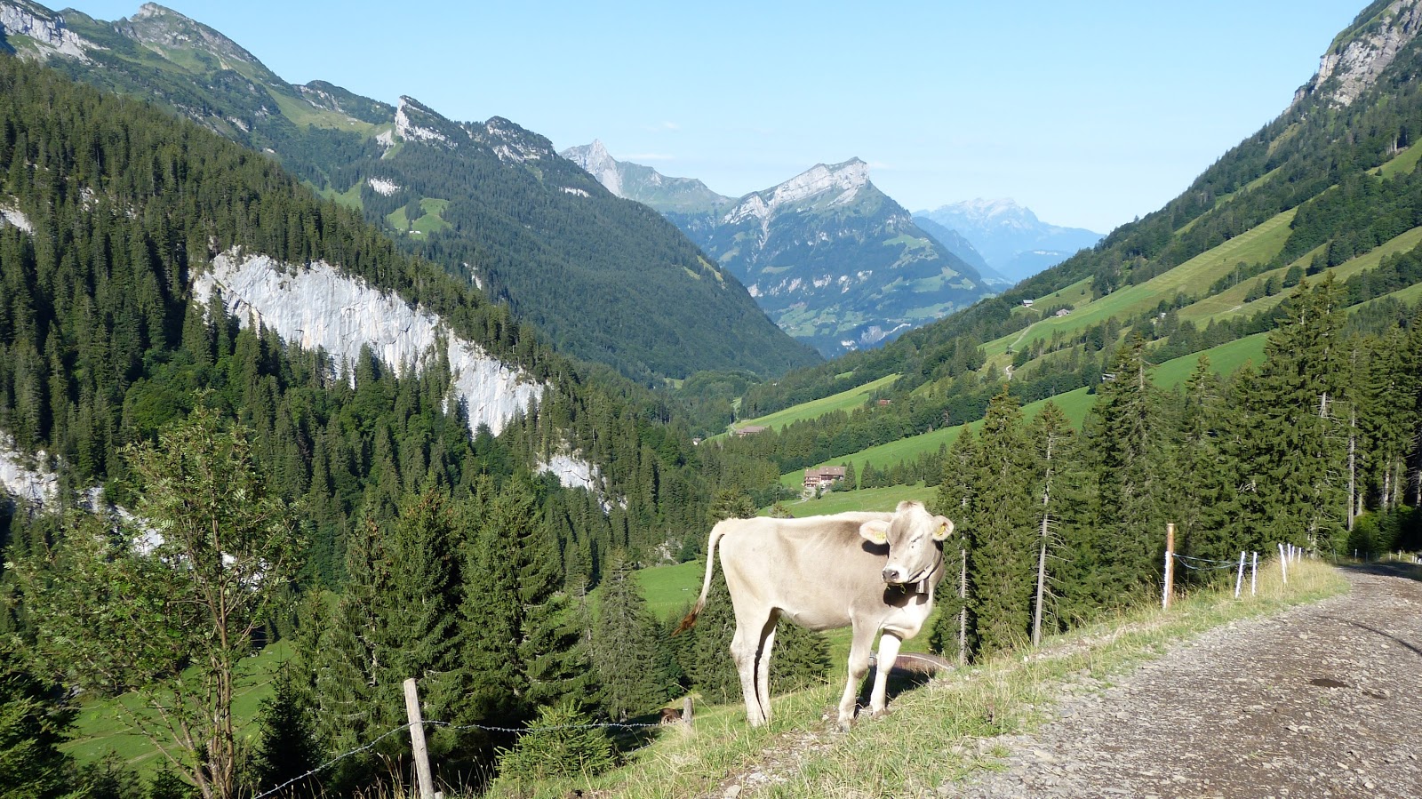 Hiking in Switzerland – Gabrielle and Urs: From the Riemenstalder ...
