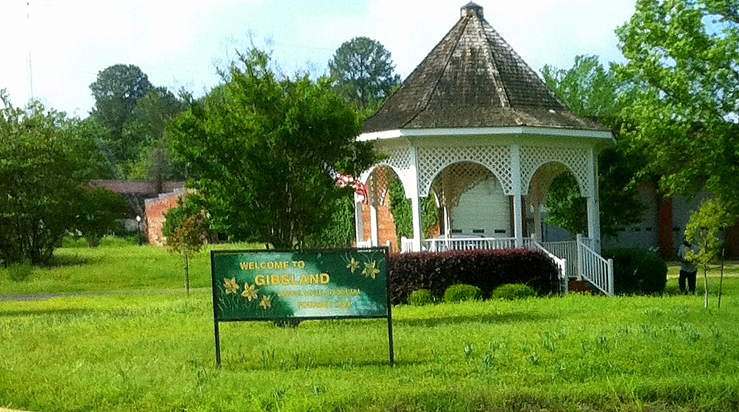 The Gypsy Boho Freedom Express: JIMMIE DAVIS STATE PARK - CHATHAM, LA