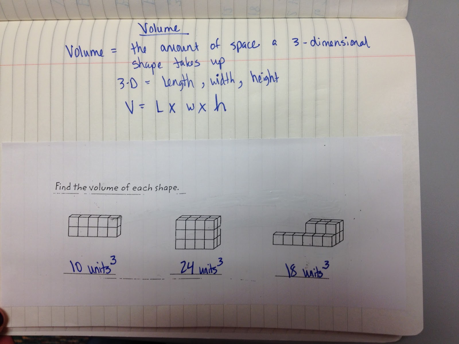 The 4th Grade May-niacs: Volume