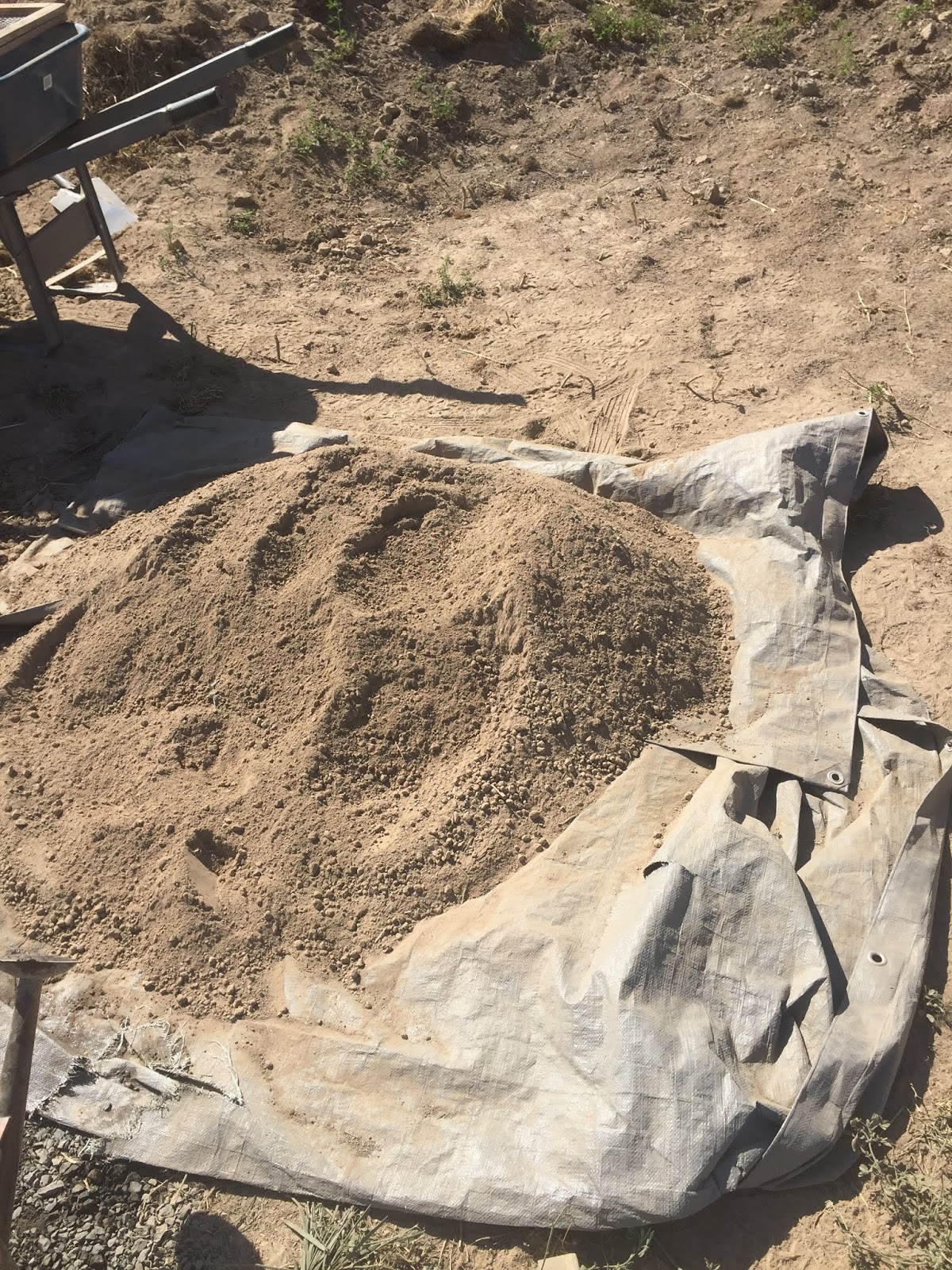 Grandpa Jim's Garden