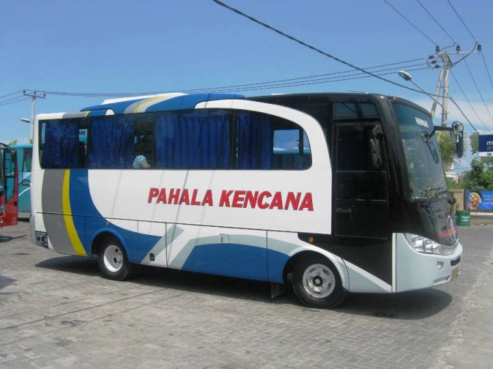 Jenis dan Tipe Bus Indonesia | Firman Koga