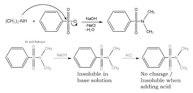 Uji Kualitatif Amina, "Hinsberg Reaction"