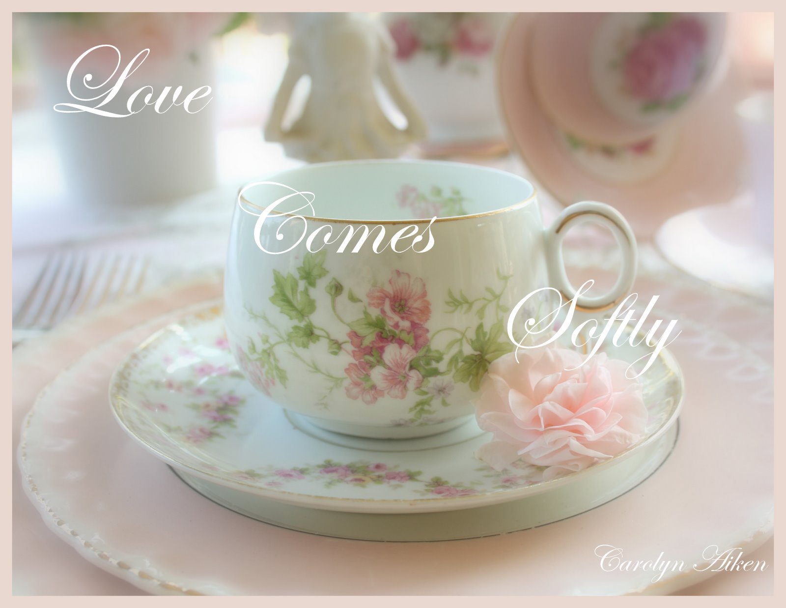 Aiken House & Gardens: Pink Dish Love!