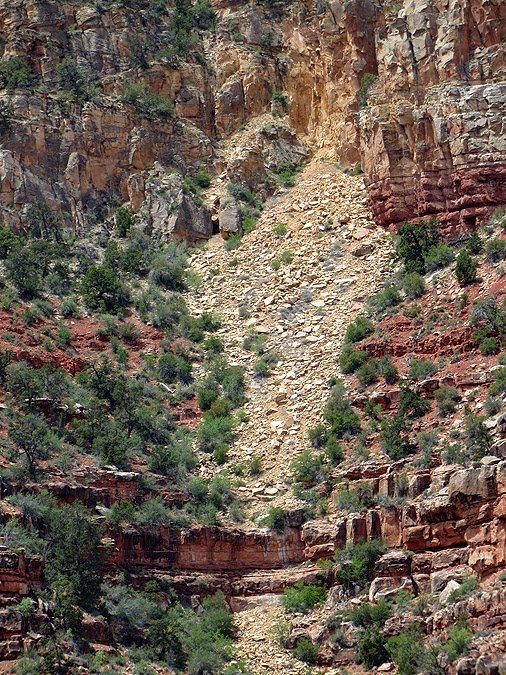 Hiking in the White Mountains: Grand Canyon: Horseshoe Mesa