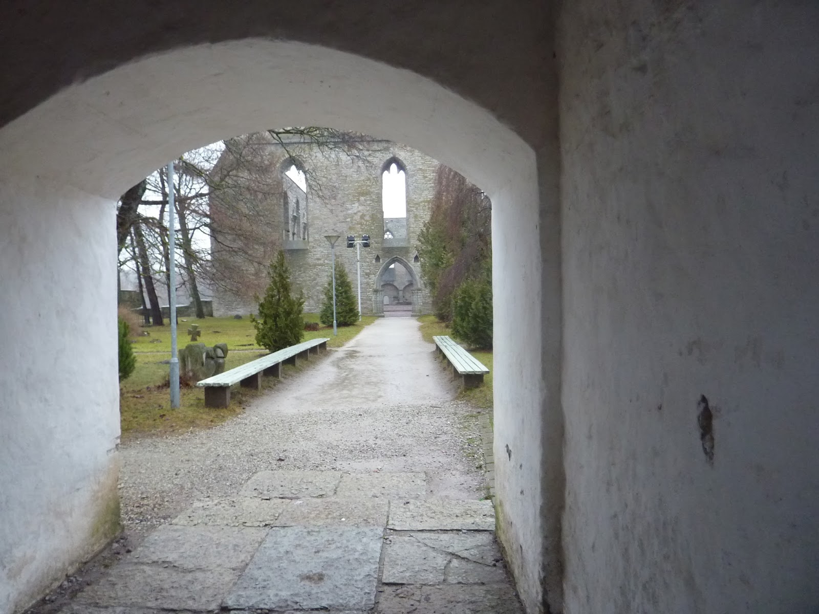 elämää luonnossa: Pyhän Birgitan luostarin rauniot