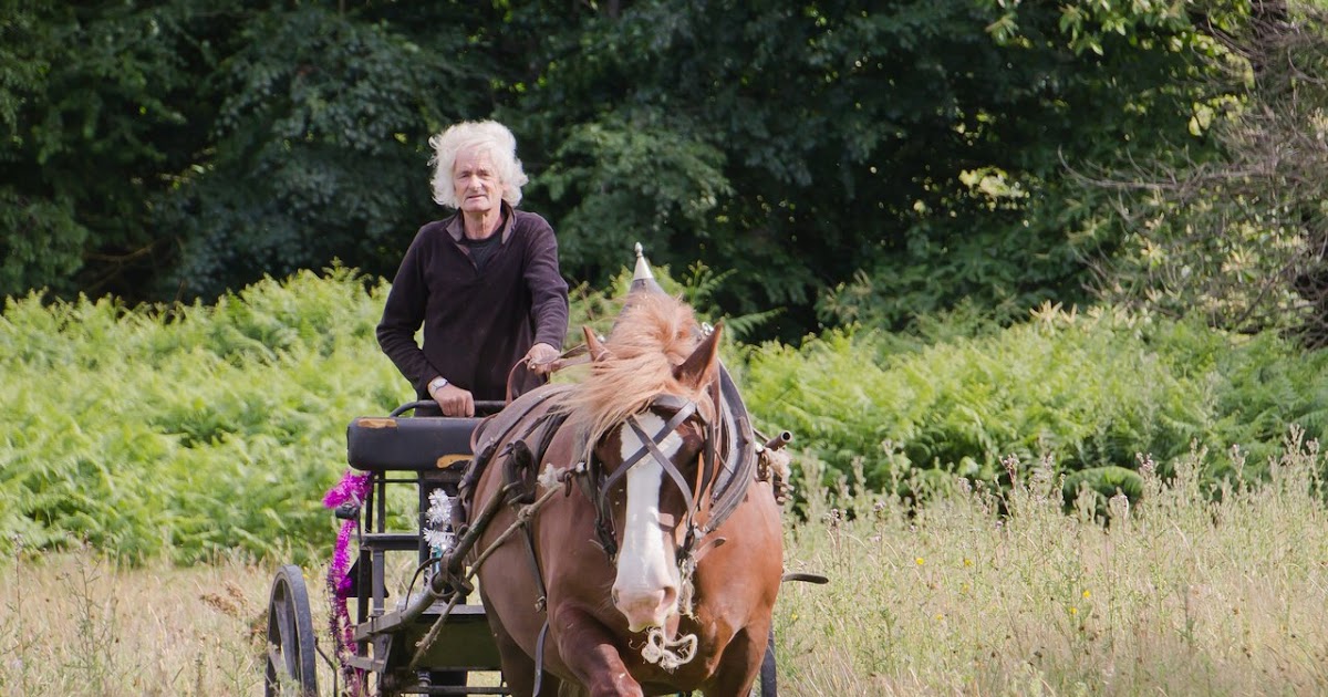 Images de Bretagne: Cheval postier breton.