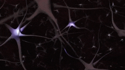 Zero Absoluto - Saude: setembro 2017