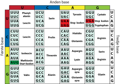Kode Genetik - Substansi Genetika | de Biology
