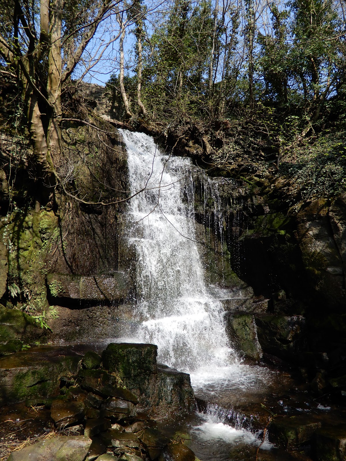 Walk from Leyburn to Harmby Waterfall | SkyBlueSophie