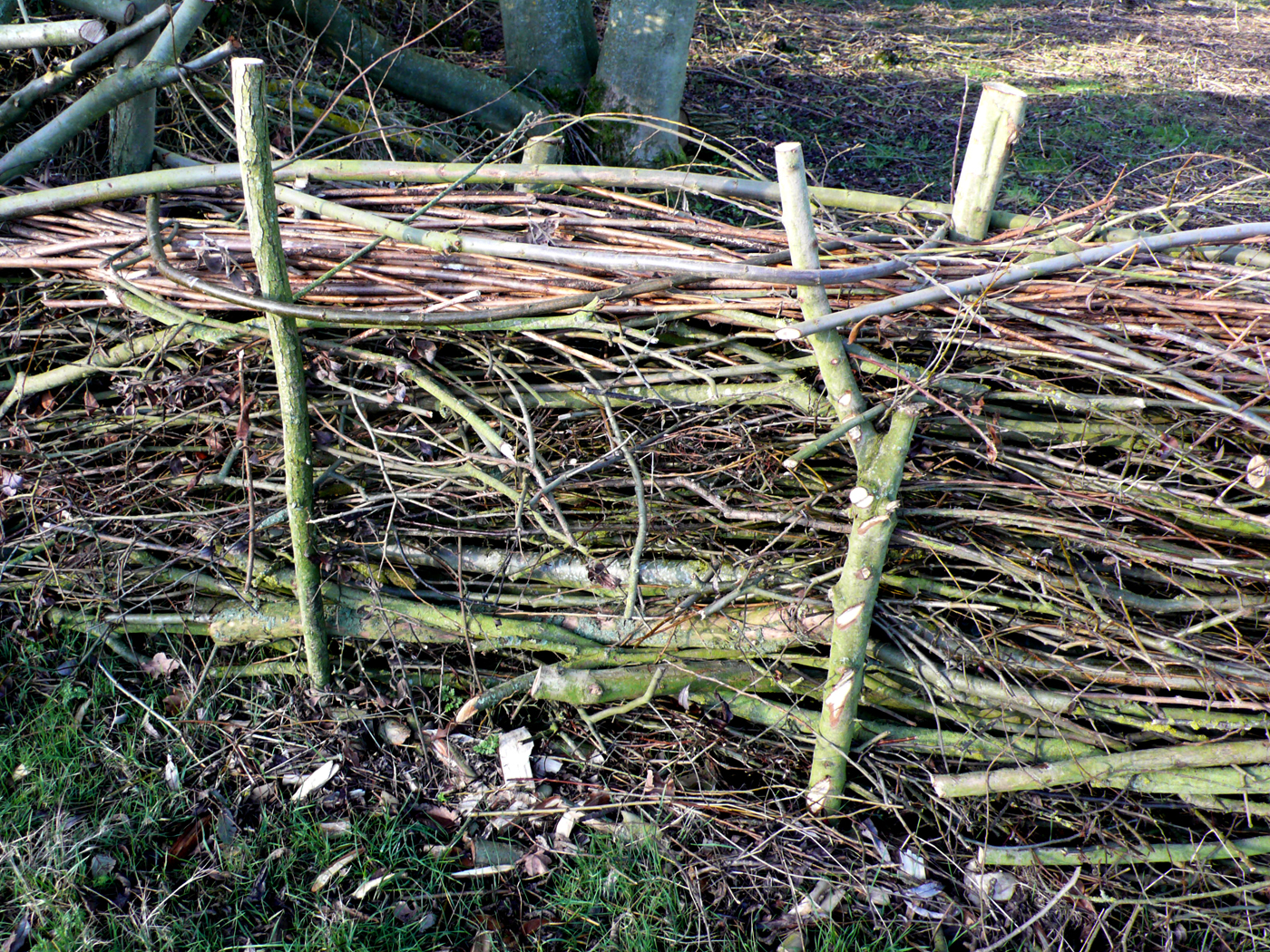 News From Nowhere: January 2012