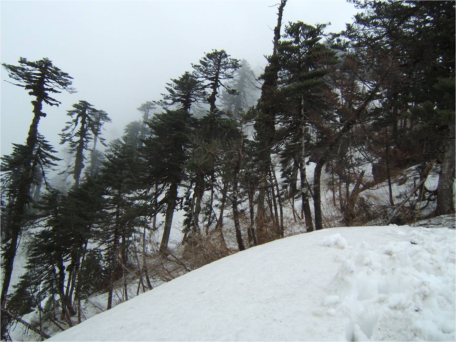 Hkakabo Razi (5,881 m), the highest peak in Myanmar and South East Asia ...