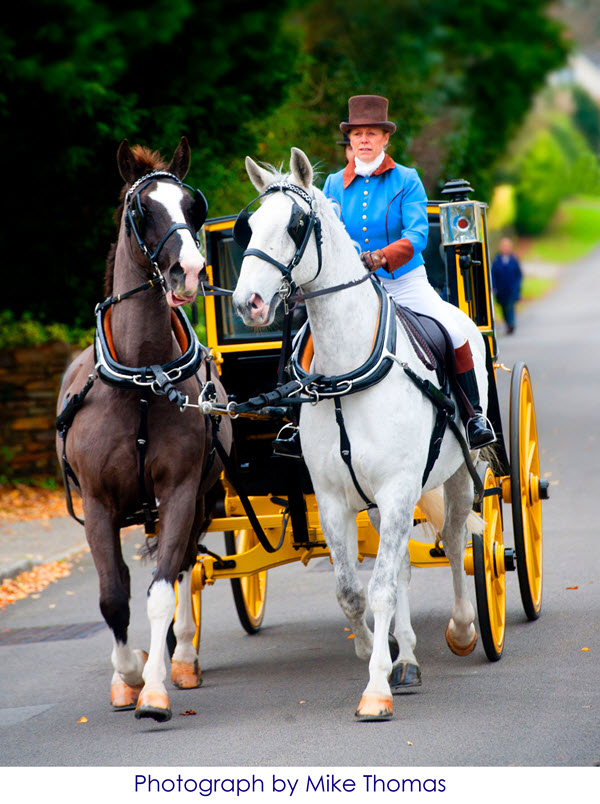 Enjoy Milford on Sea: March 2019