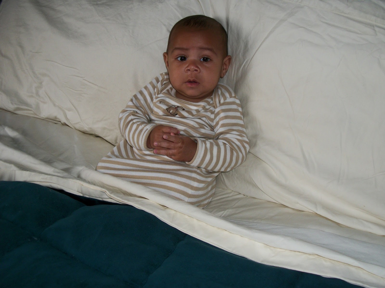 What a Ride!: Cuddle Cuddle (a.k.a Attachment Parenting Sleep Training)