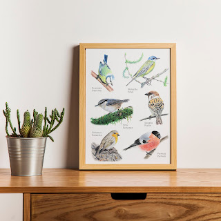 My art corner: New birds poster