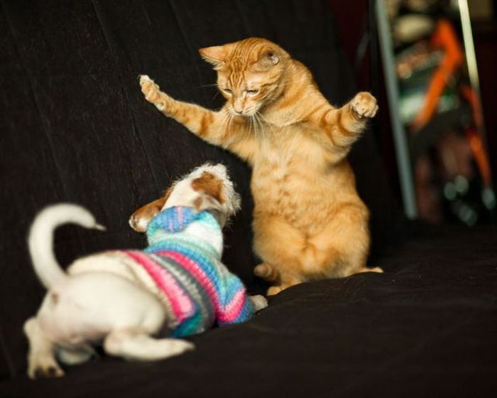 Beautiful World : Fresh Collection of Amazing and Funny Pics