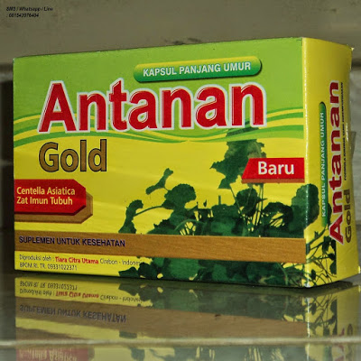 Kapsul Antanan (Kapsul Antanan Asli) - Obat Asam Urat Dan Rhematik