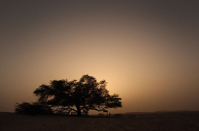 The Travel Guide: 10 incredible places to visit in Bahrain