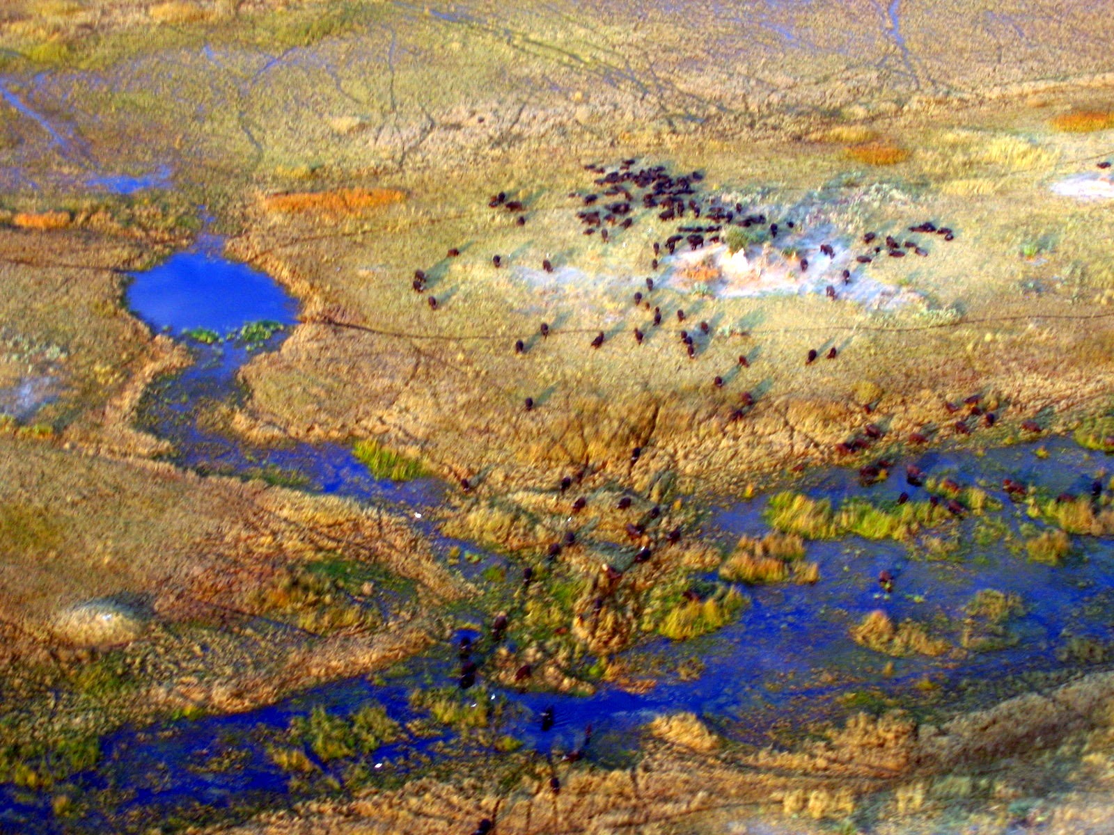 Geography of the Okavango Delta