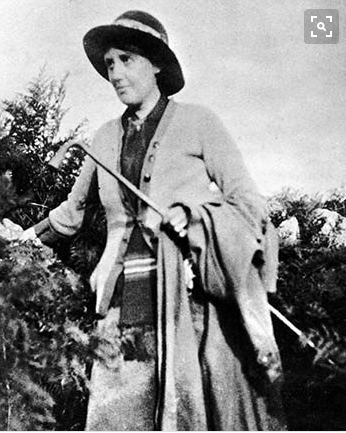 Author's Diction~Vipin Behari Goyal: Virginia Woolf : The Unsolved ...