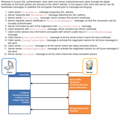 hj: Mutual TLS Authentication