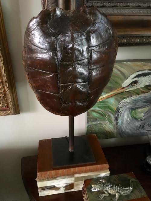 The Uptown Acorn: Turtle Shell Lamp