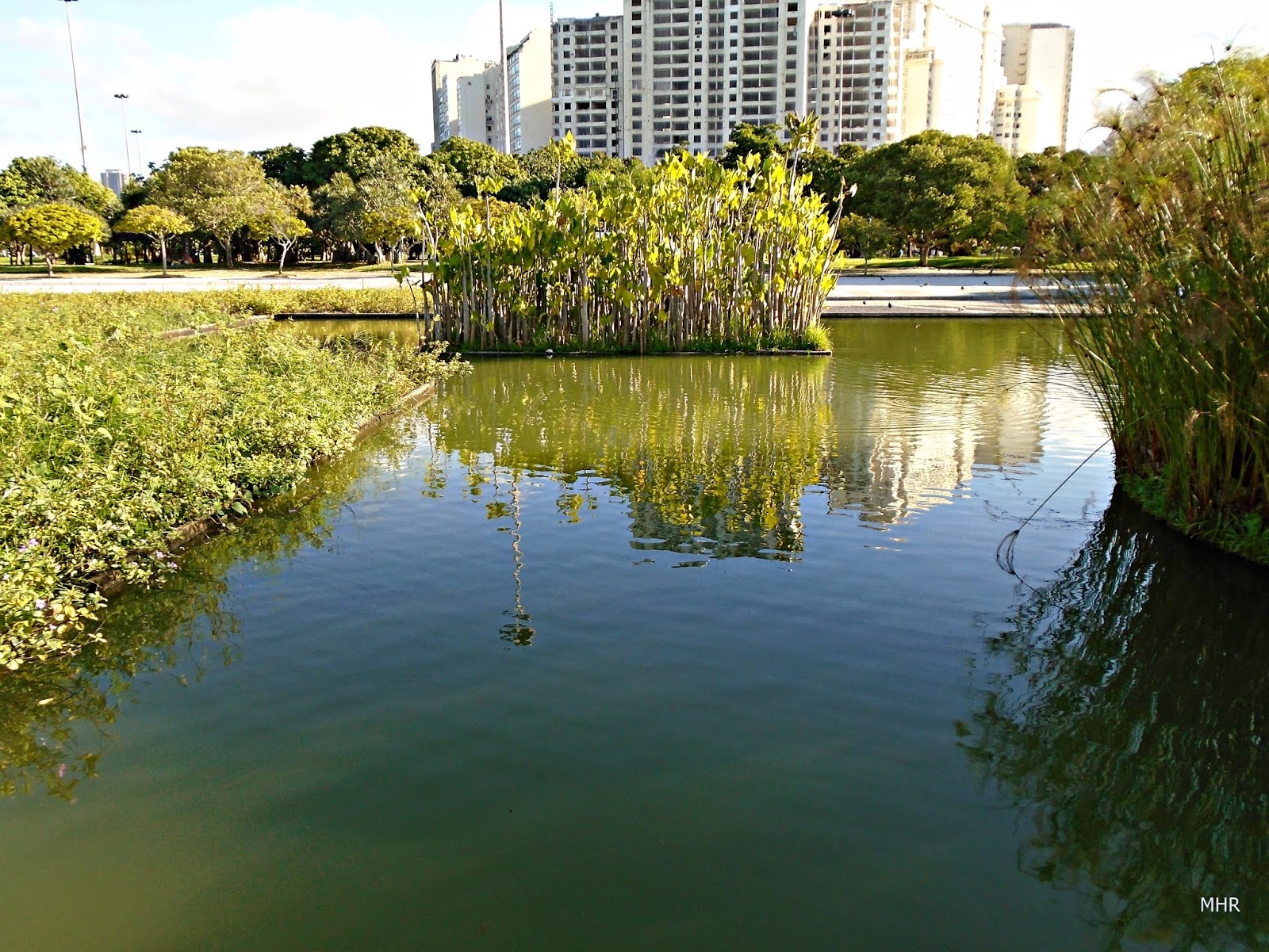 MHR Cliques: Num lago do Parque do Flamengo