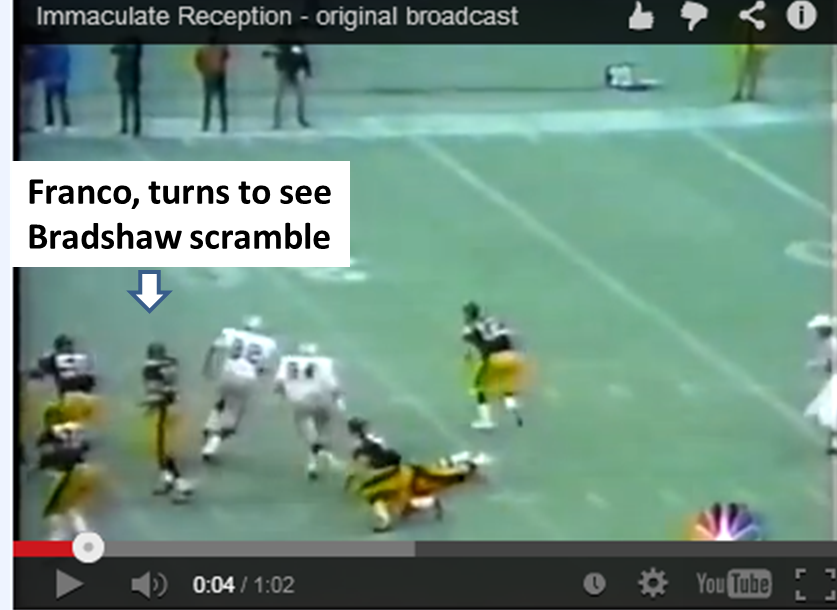 Immaculate Reception Gif