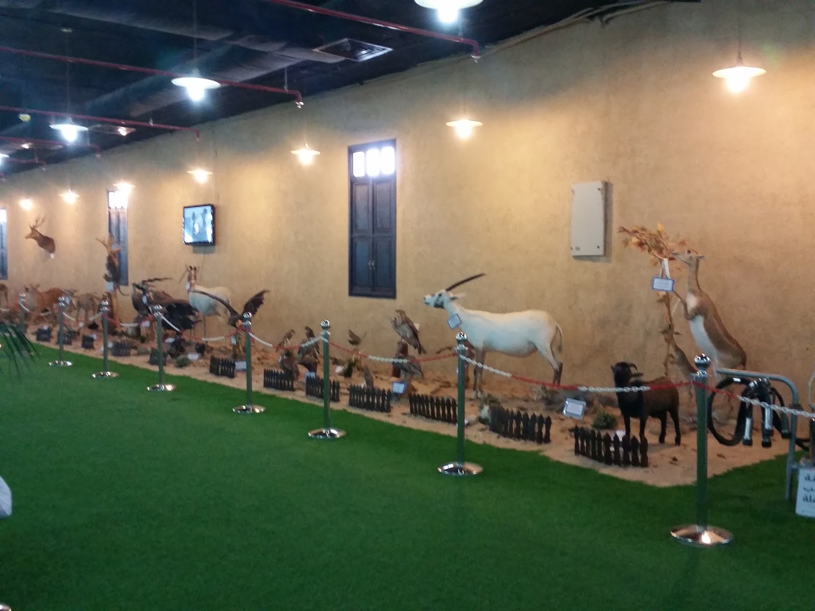 Life in Kuwait Blog: Sheikh Sabah Village