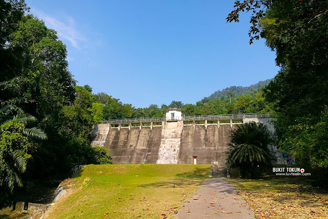 Bukit Tokun 大山脚卓坤山[必拍]大树 - 乐飞翎 ♥ LUVFEELIN