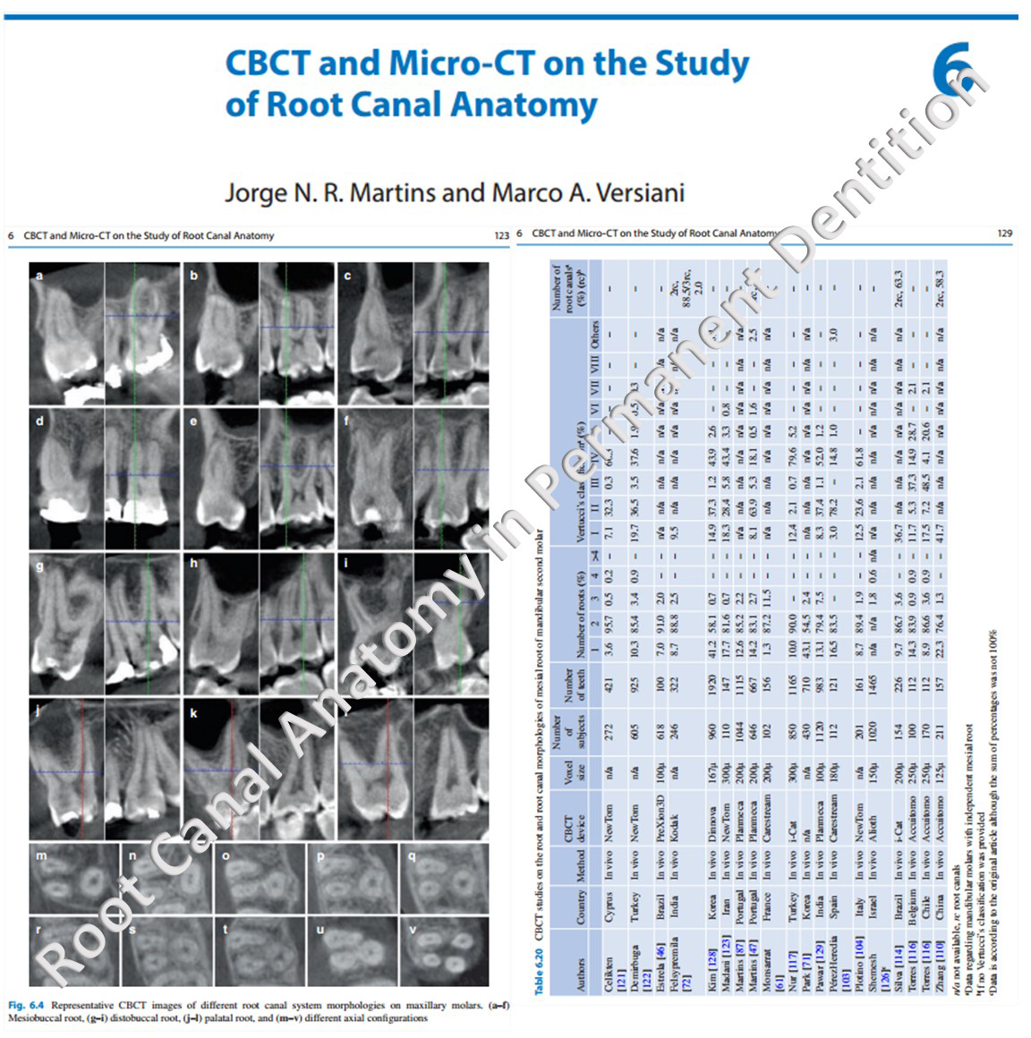 The Root Canal Anatomy Project: 2018